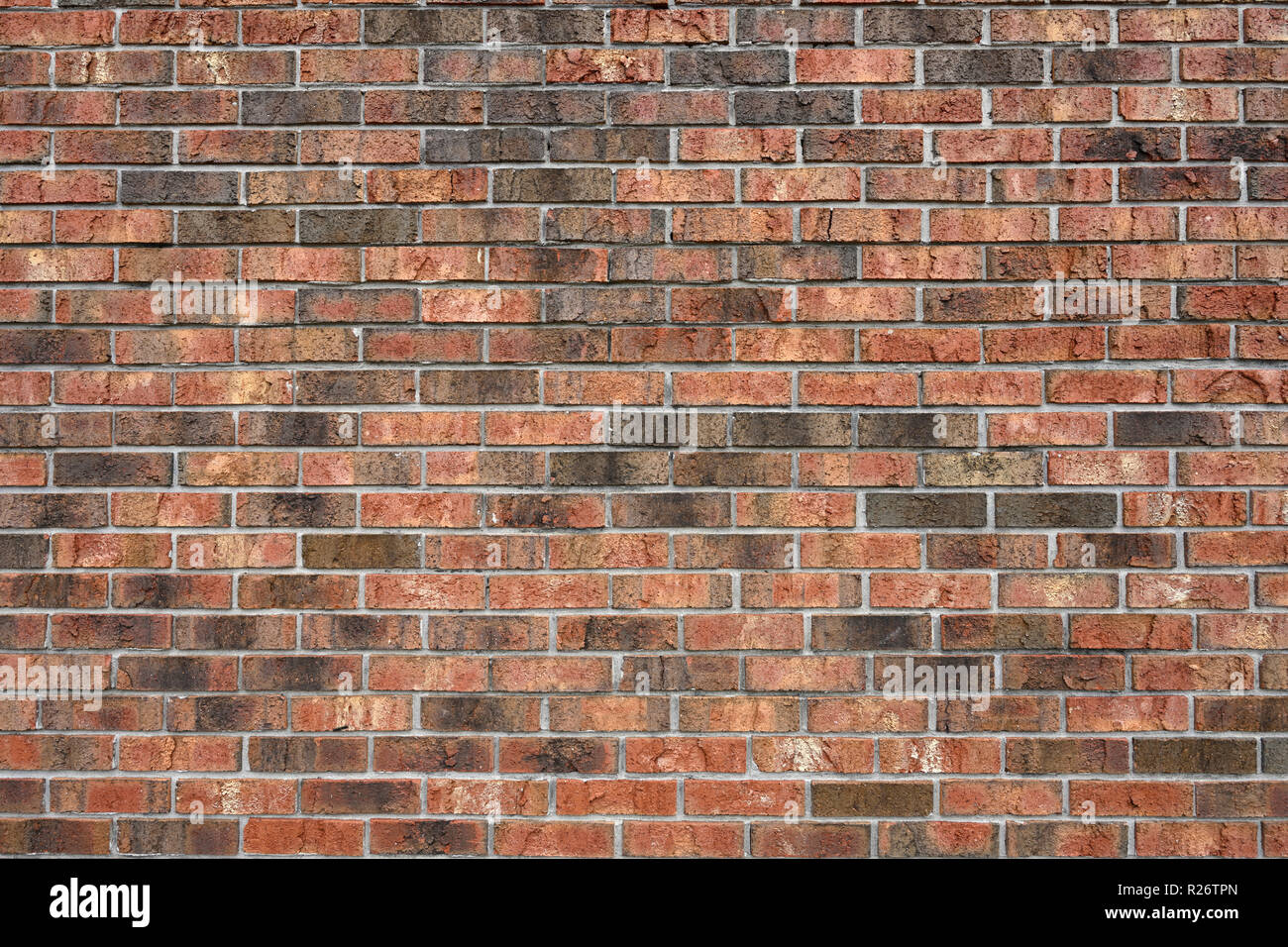 A distortion-free, varigated-color brick wall Stock Photo - Alamy