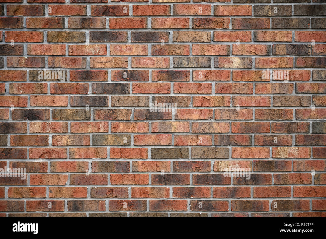 A distortion-free, varigated-color brick wall Stock Photo - Alamy