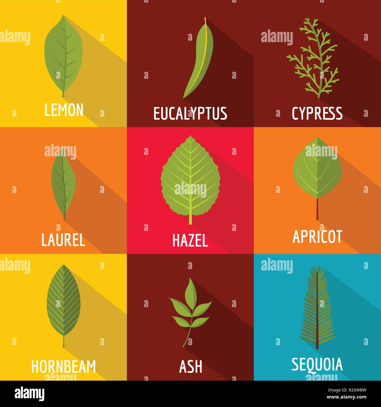 Tree leave icons set. flat set of 9 tree leave vector icons for web ...