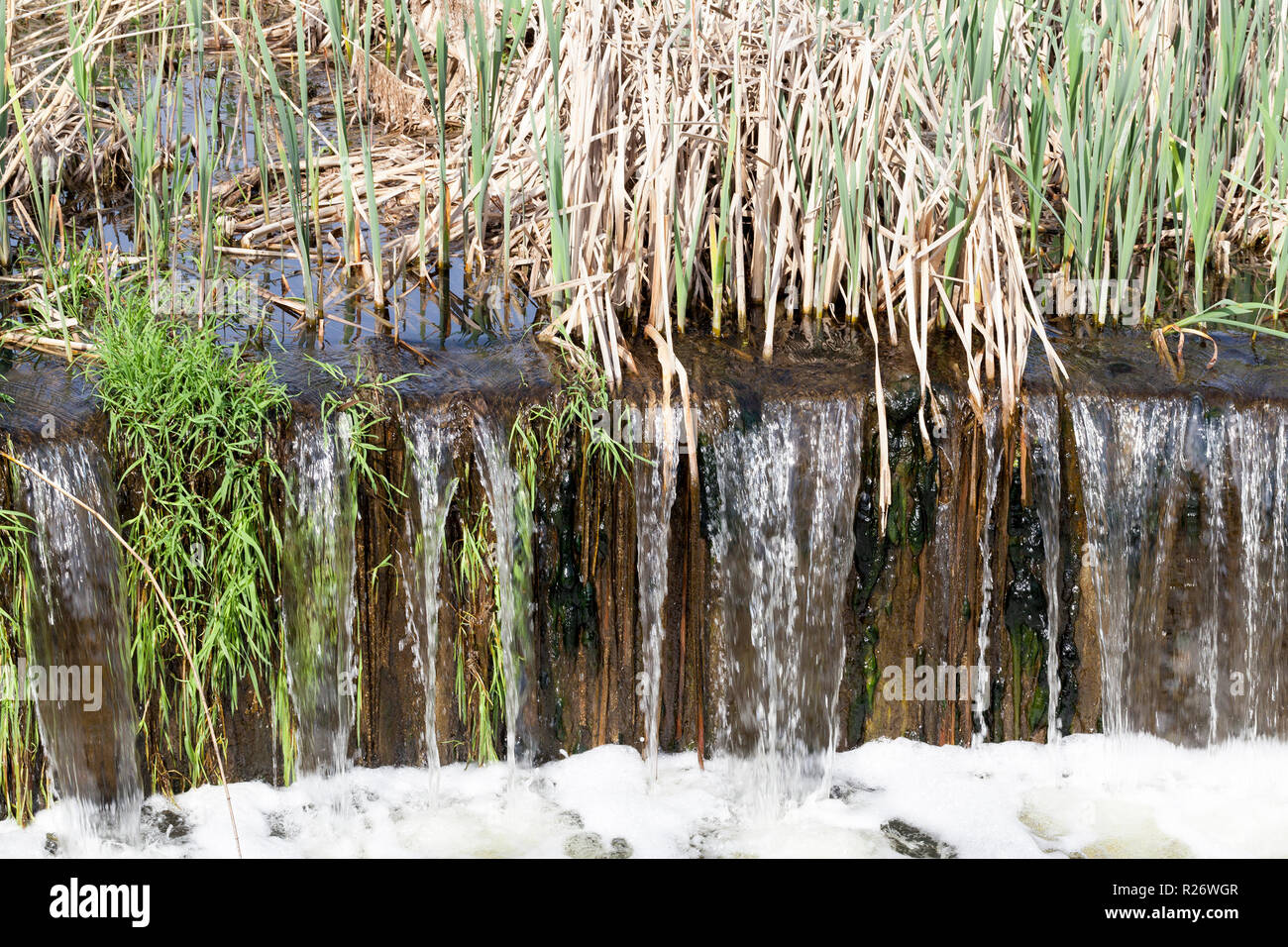 a small artificial waterfall in a swamp through which dirty water flows ...