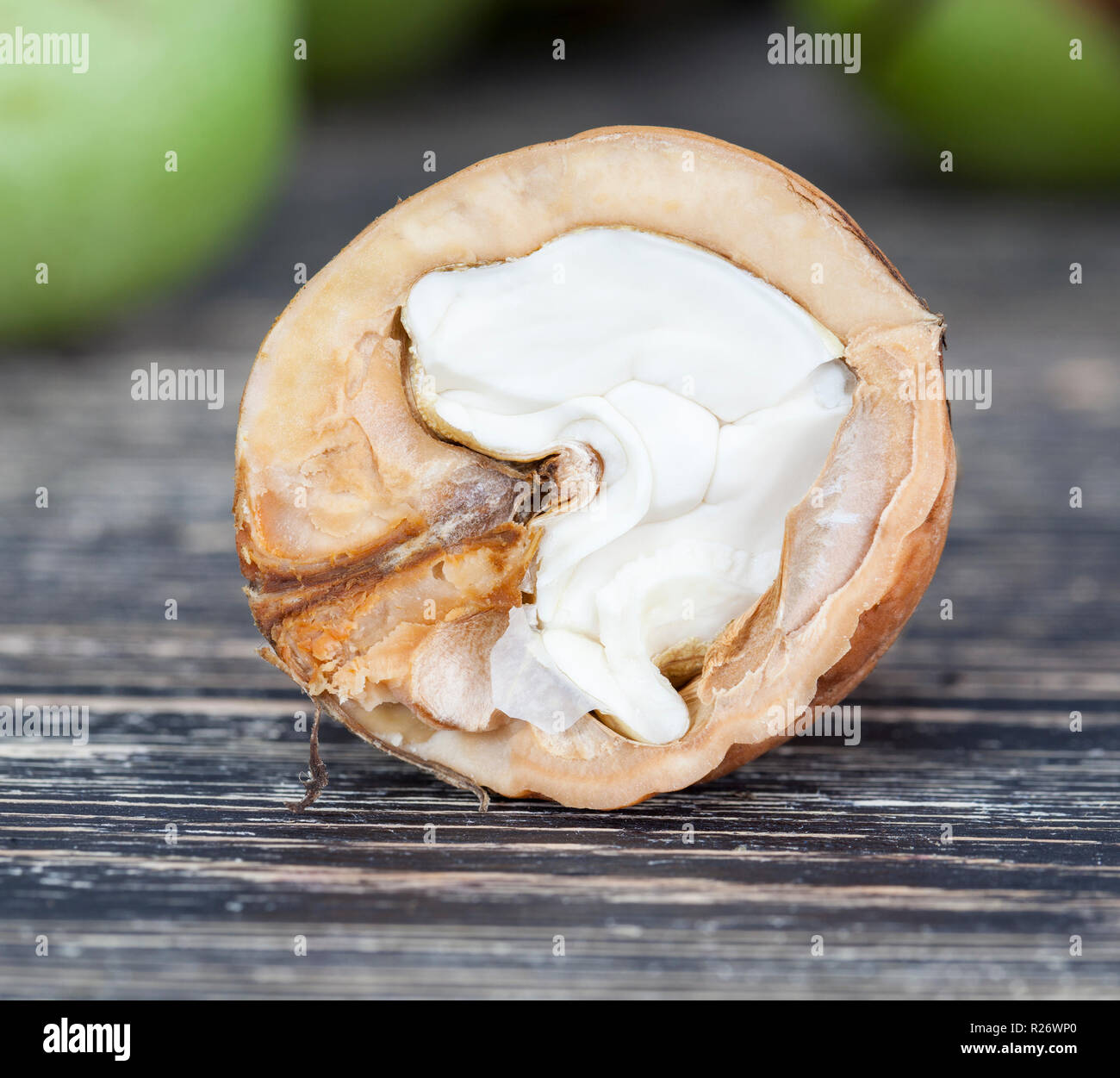 Walnut shells hi-res stock photography and images - Alamy