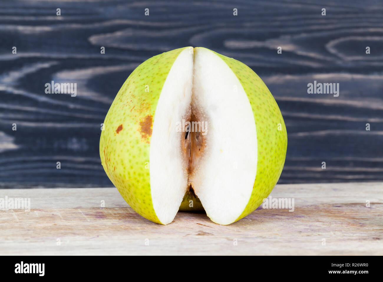 Inside a rotten tree hi-res stock photography and images - Alamy