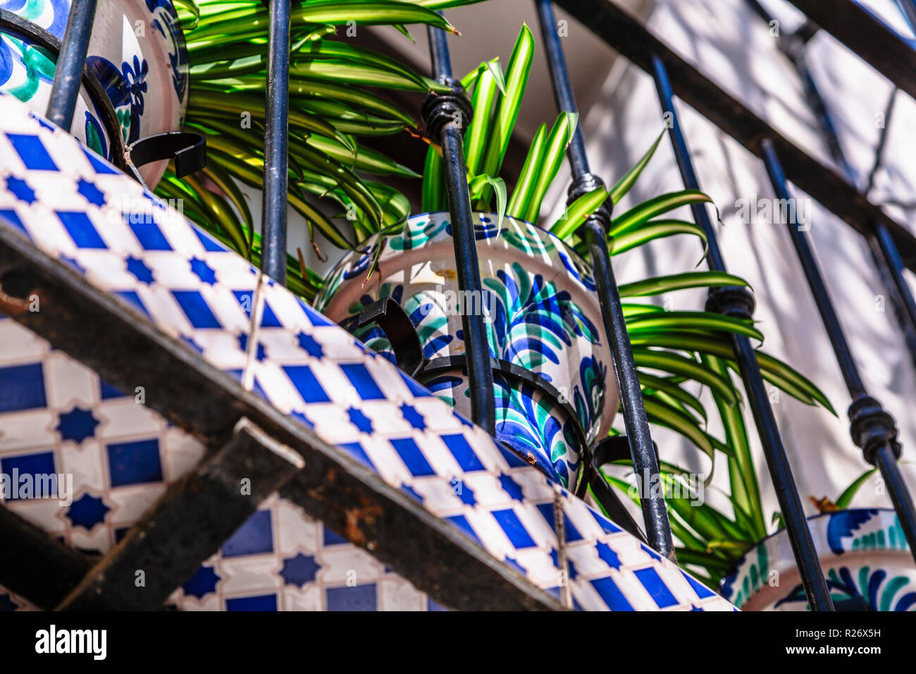 Ceramic pot with pattern with plant on balcony Stock Photo - Alamy