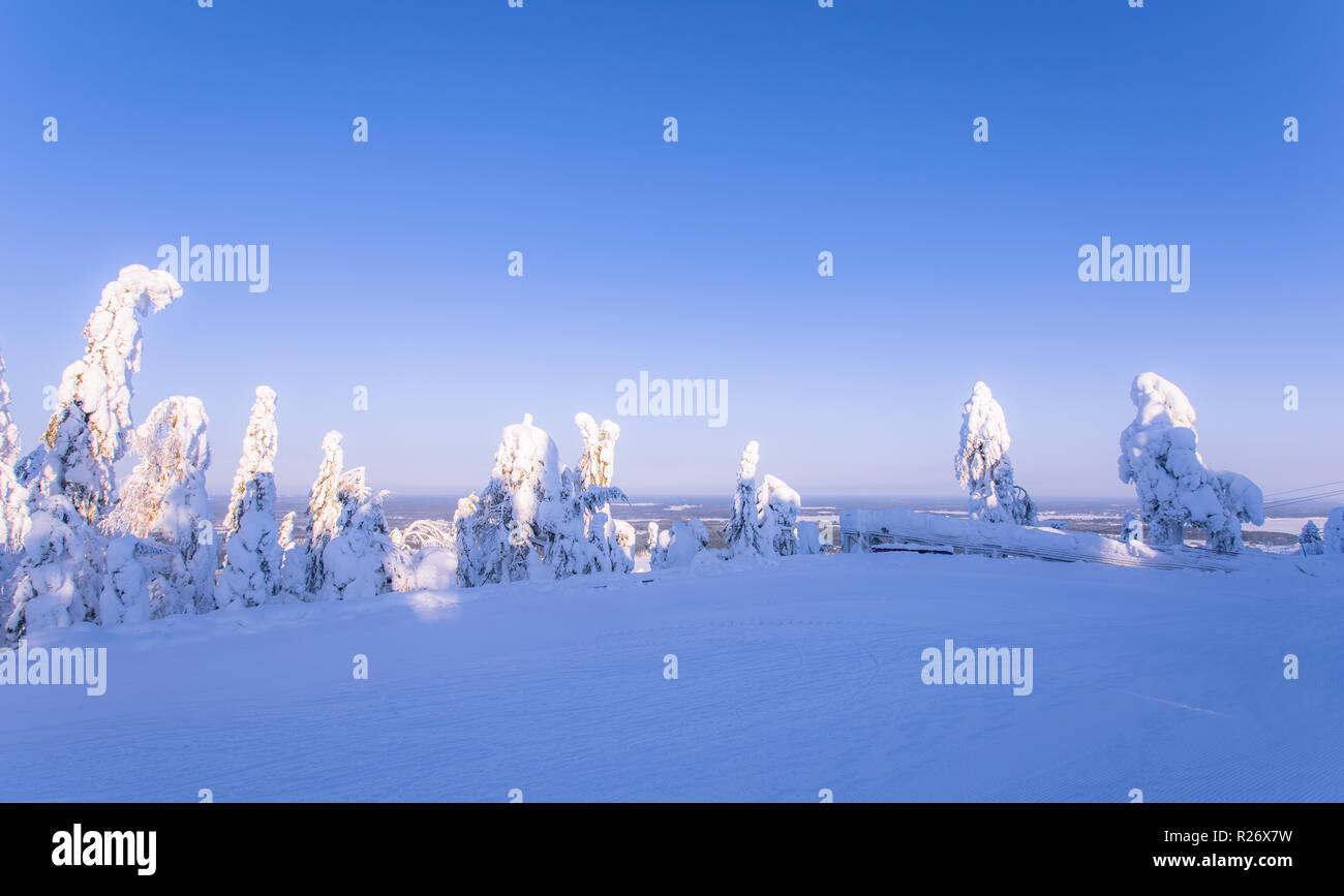 Cold winter day sunset landscape with snowy trees. Photo from Sotkamo ...