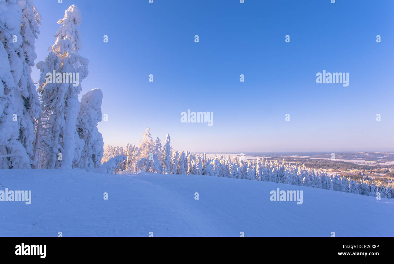 Cold winter day sunset landscape with snowy trees. Photo from Sotkamo ...