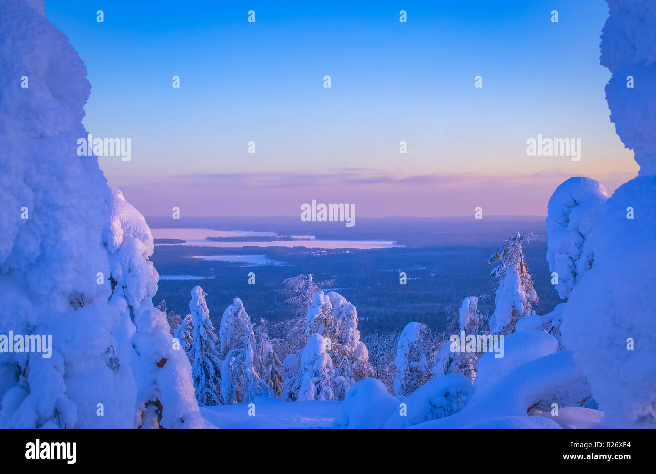 Cold winter day sunset landscape with snowy trees. Photo from Sotkamo ...