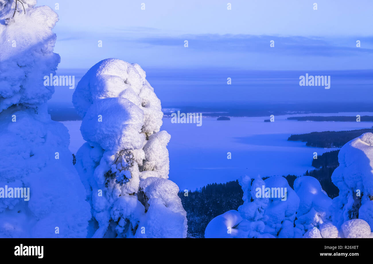 Cold winter day sunset landscape with snowy trees. Photo from Sotkamo ...