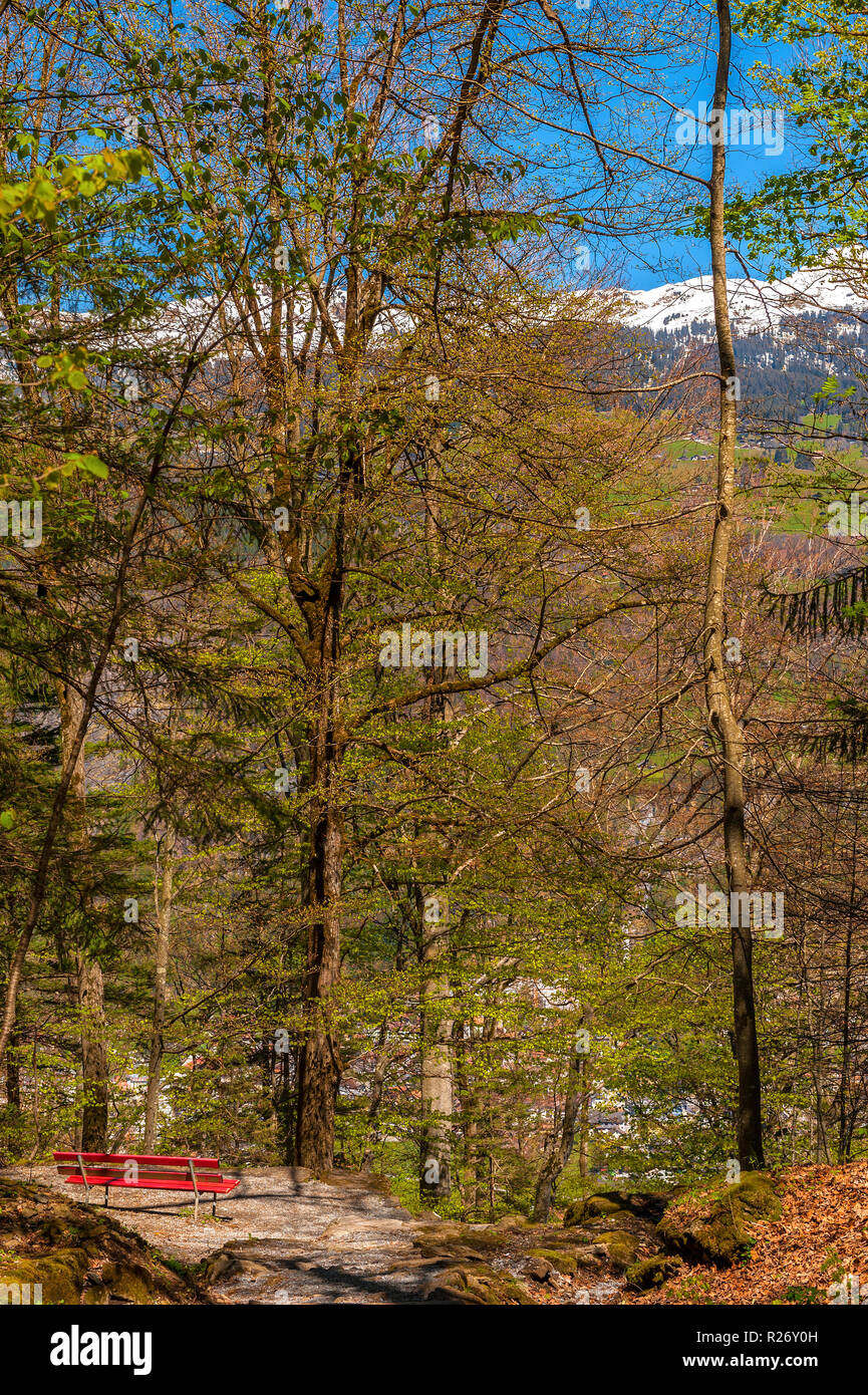 Alpine forest hi-res stock photography and images - Alamy