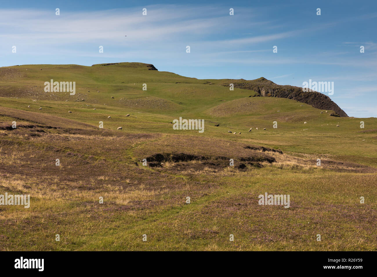 Landscape on Fair Isle, Shetland Islands, UK Stock Photo - Alamy