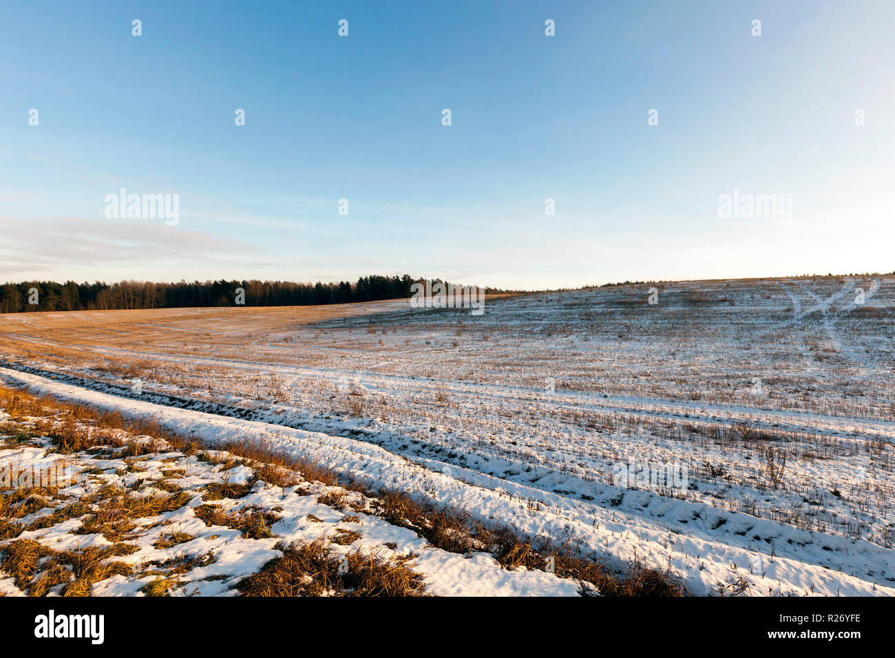 snow-covered land in the field, snowfall and winter frost, with blue ...