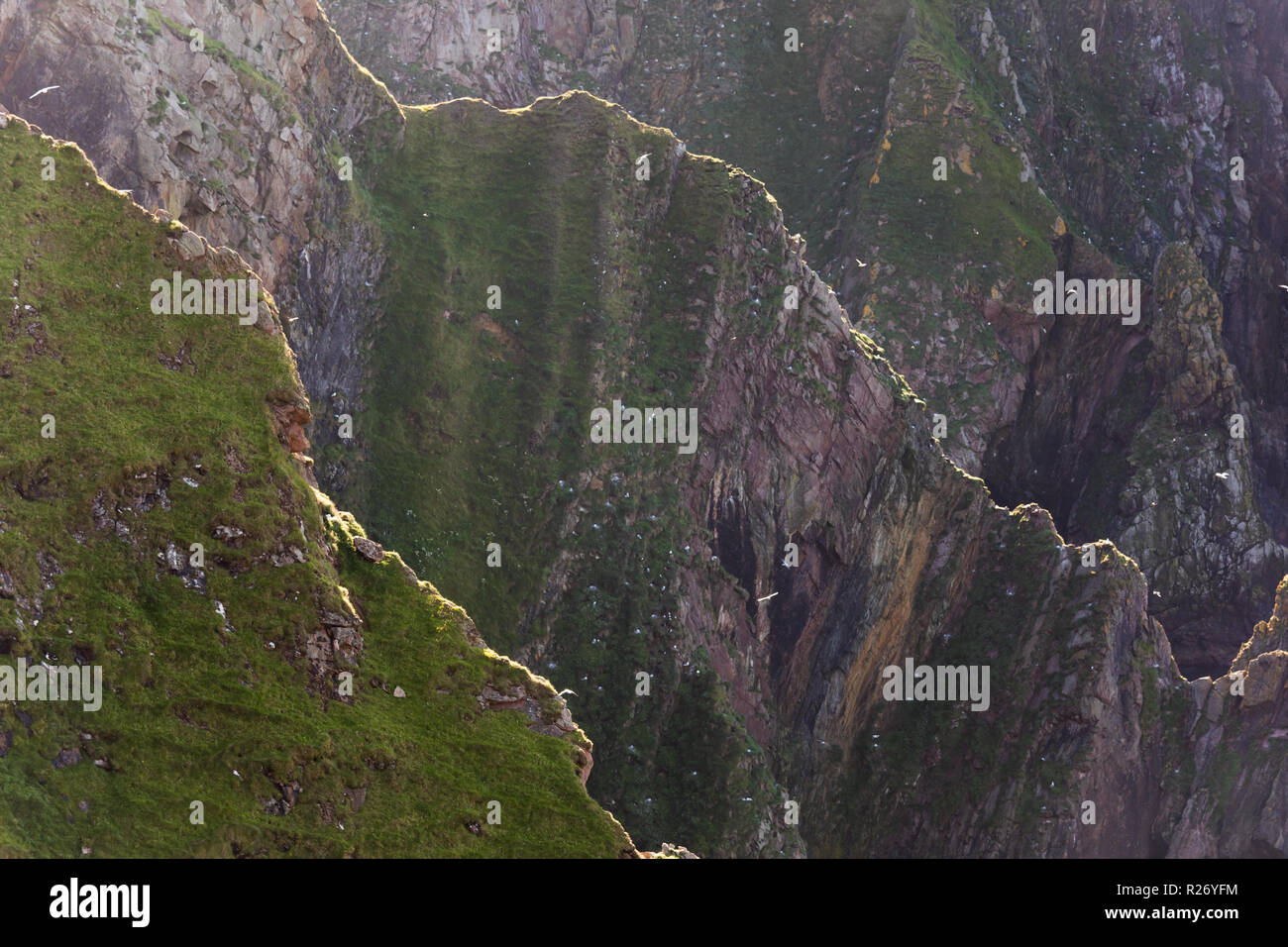 Landscape on Fair Isle, Shetland Islands, UK Stock Photo - Alamy