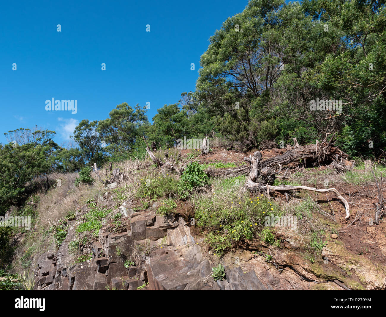 The beautiful Ribeira de Machico Valley, viewed from the levada do ...