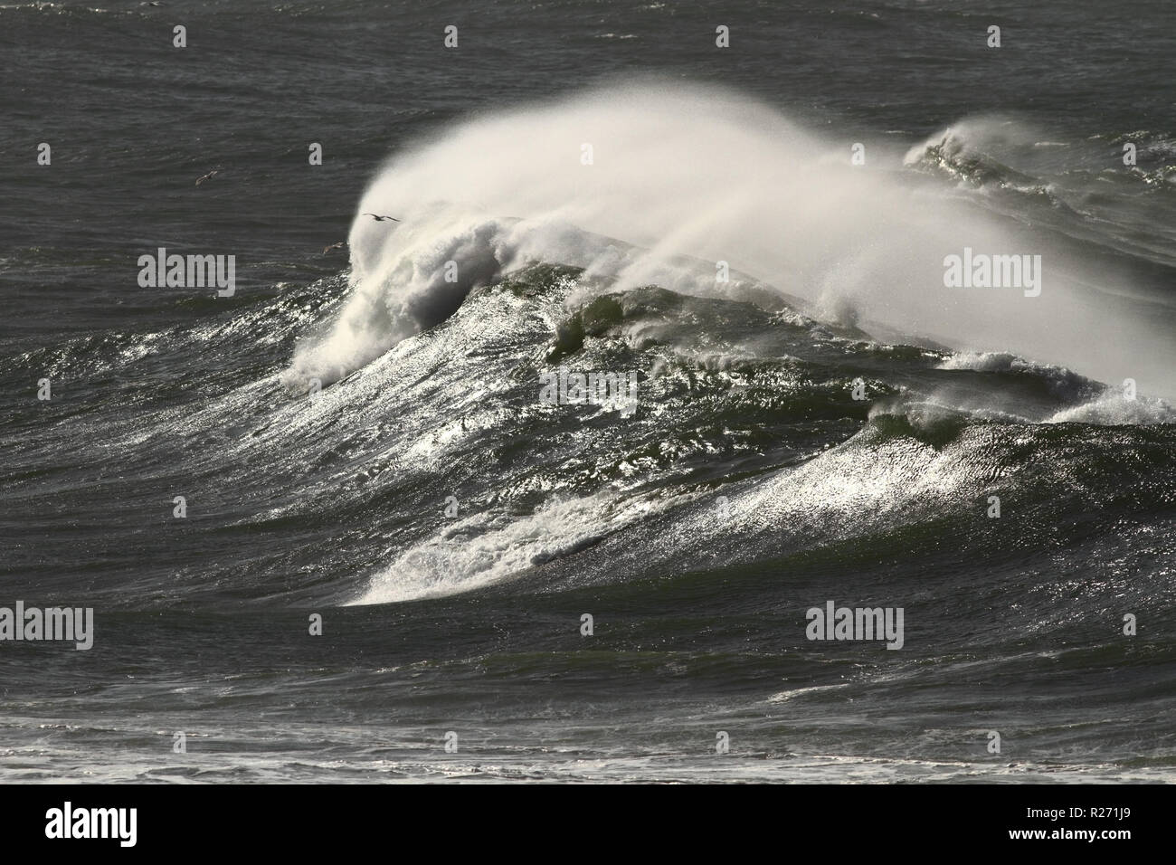 Giant Atlantic waves in the Portuguese coast photographed from above ...