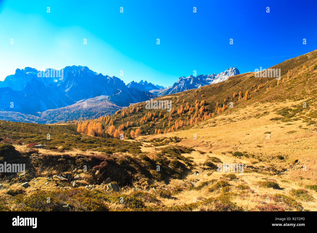 Autumn in the italian alps Stock Photo - Alamy