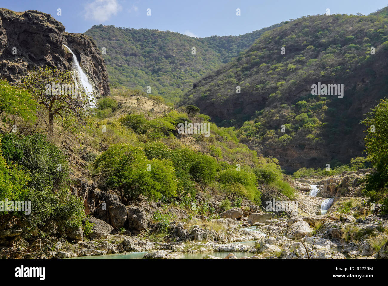 Green Wadi Darbat and waterfall, Dhofar region, Oman Stock Photo - Alamy