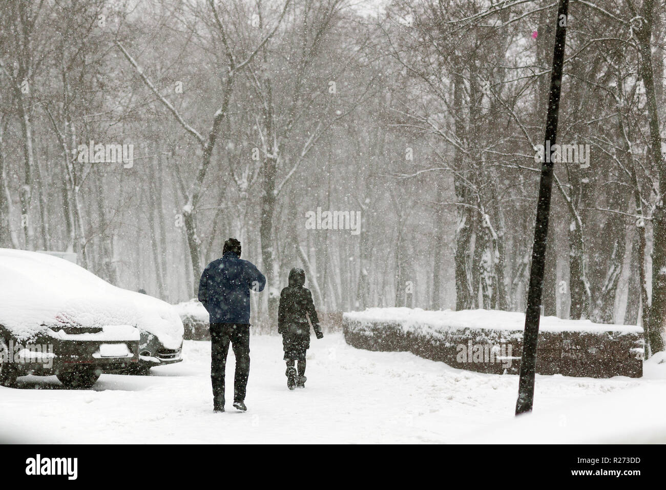 Natural Disasters Blizzards