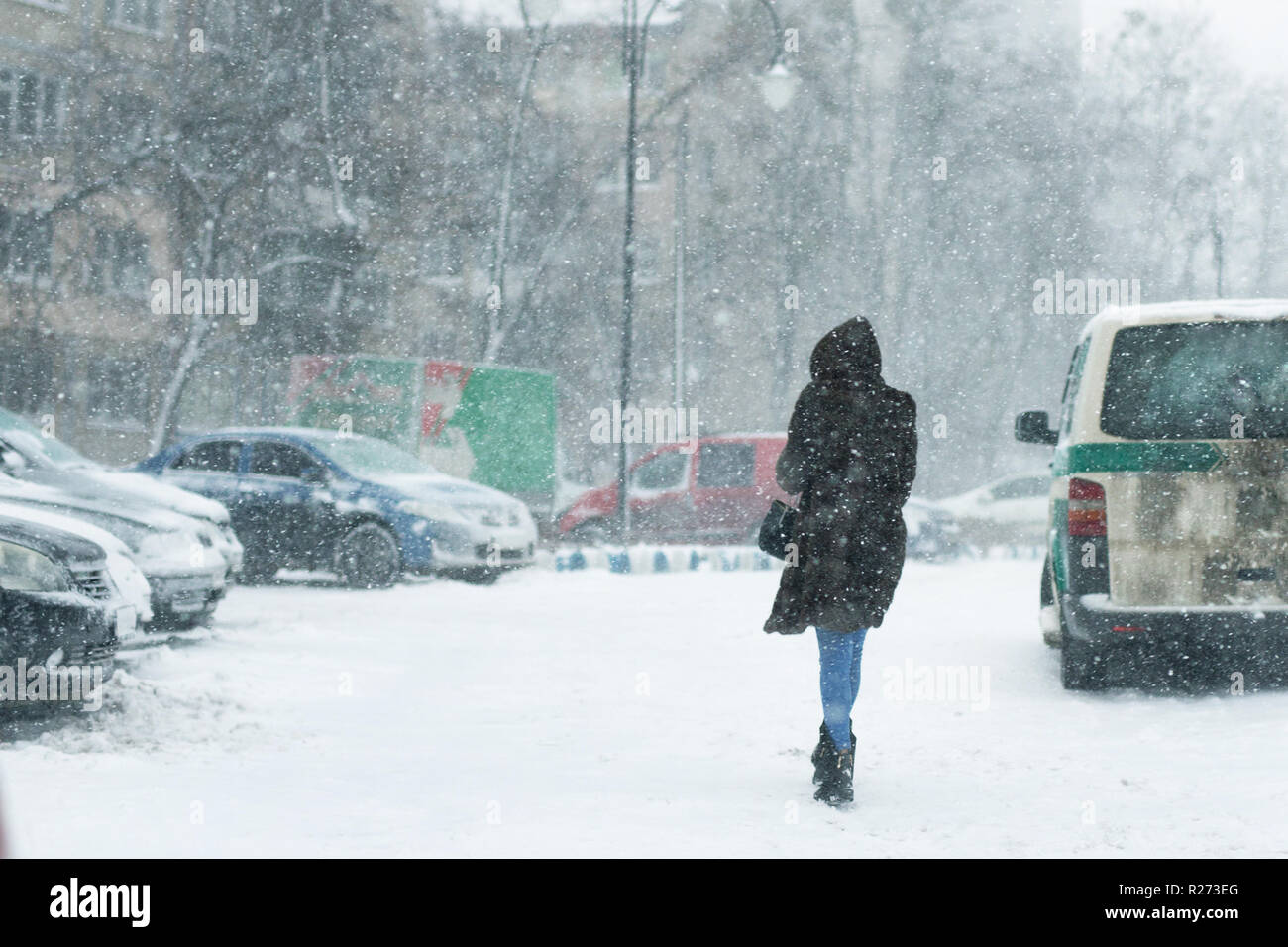 Natural Disasters Blizzards