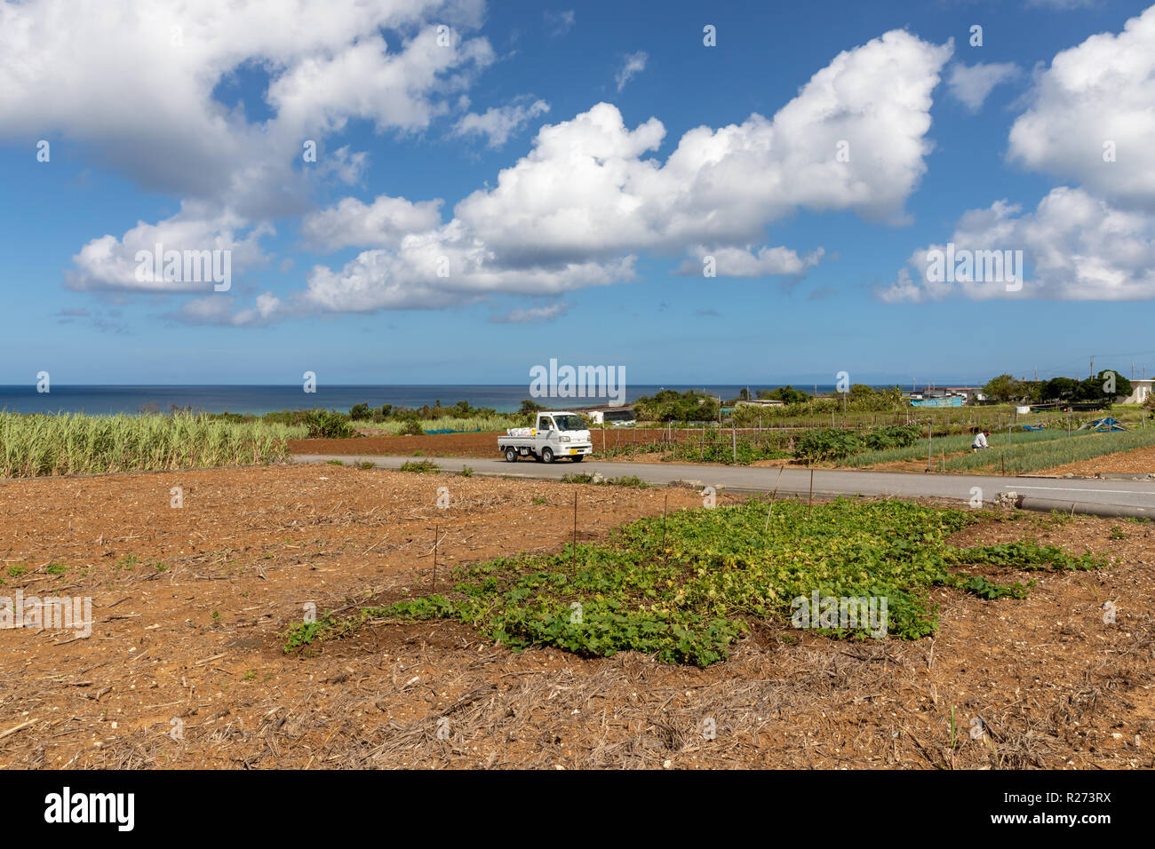 Sea farming japan hi-res stock photography and images - Alamy