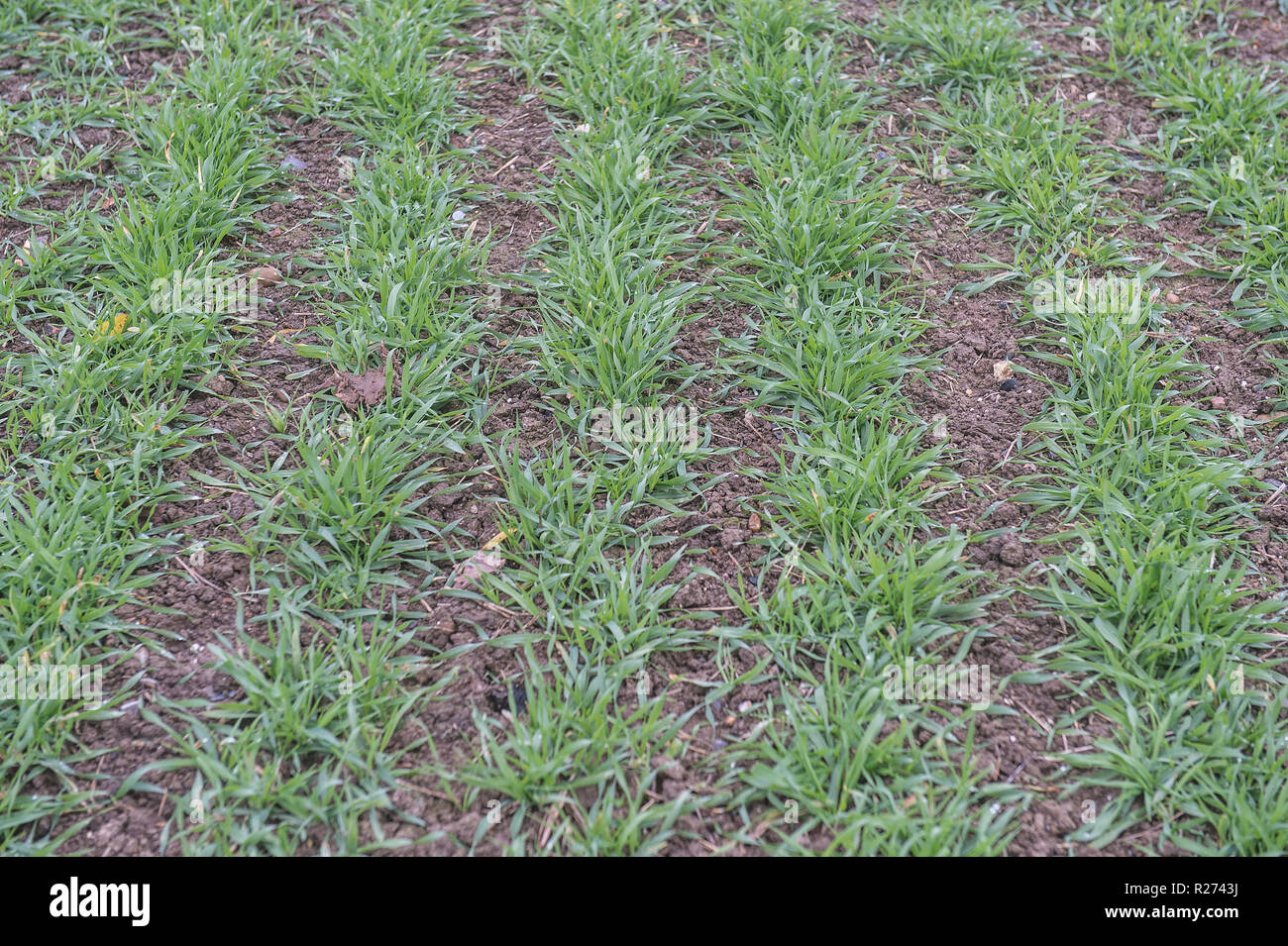 Precision Farming High Resolution Stock Photography and Images - Alamy