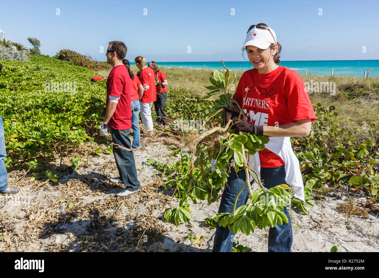 Florida Invasive Plant High Resolution Stock Photography and Images - Alamy