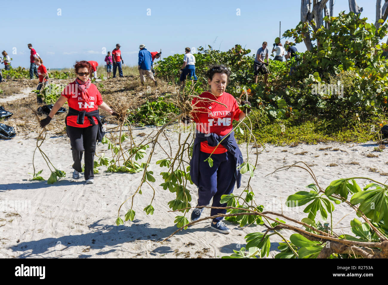 Invasive plant species hi-res stock photography and images - Alamy