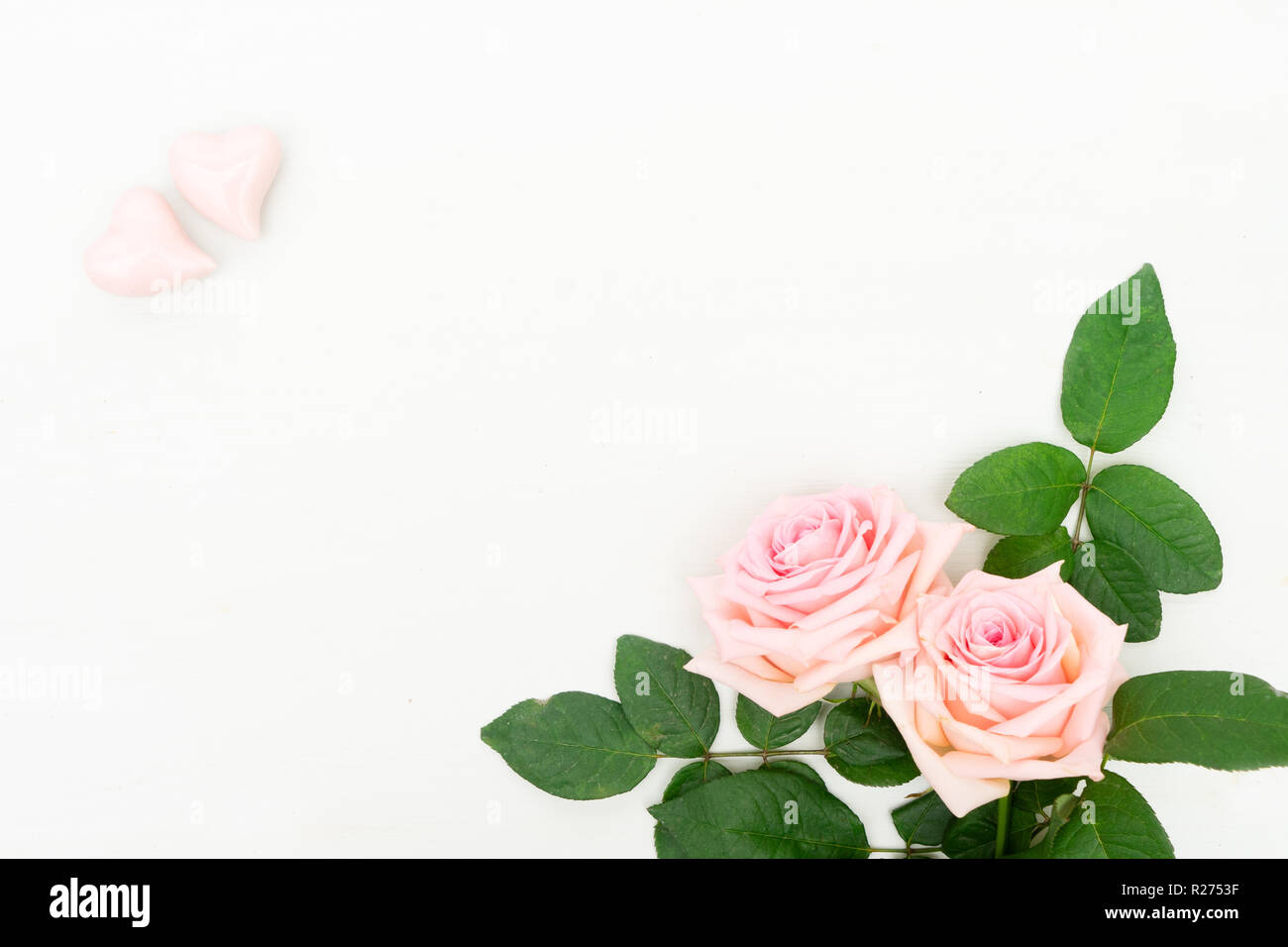 fresh rose flowers Stock Photo - Alamy