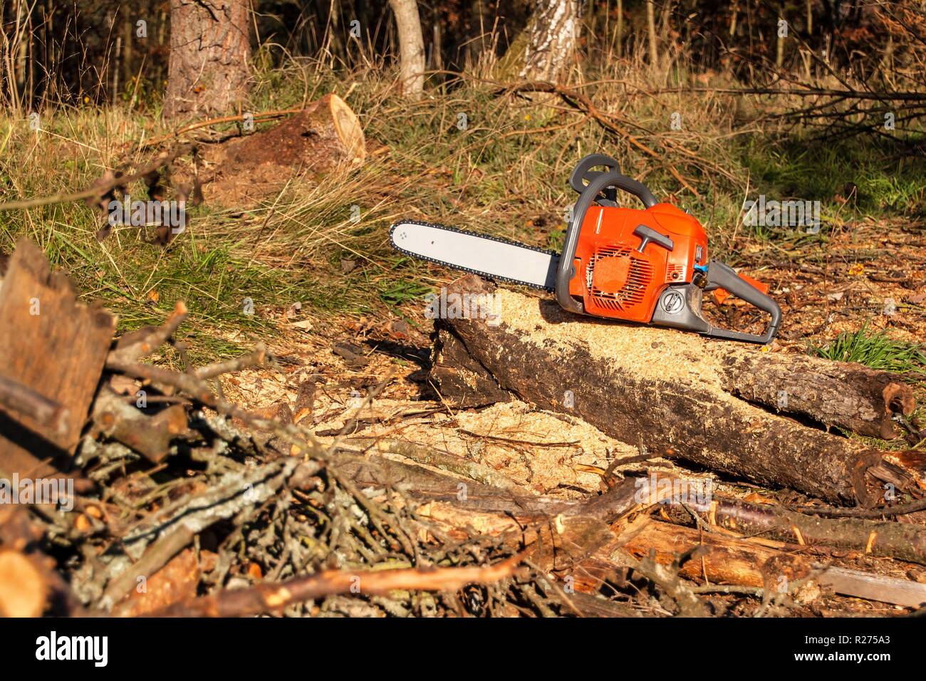 The chain saw lies on wood. Wood preparation for heating. Ecological ...