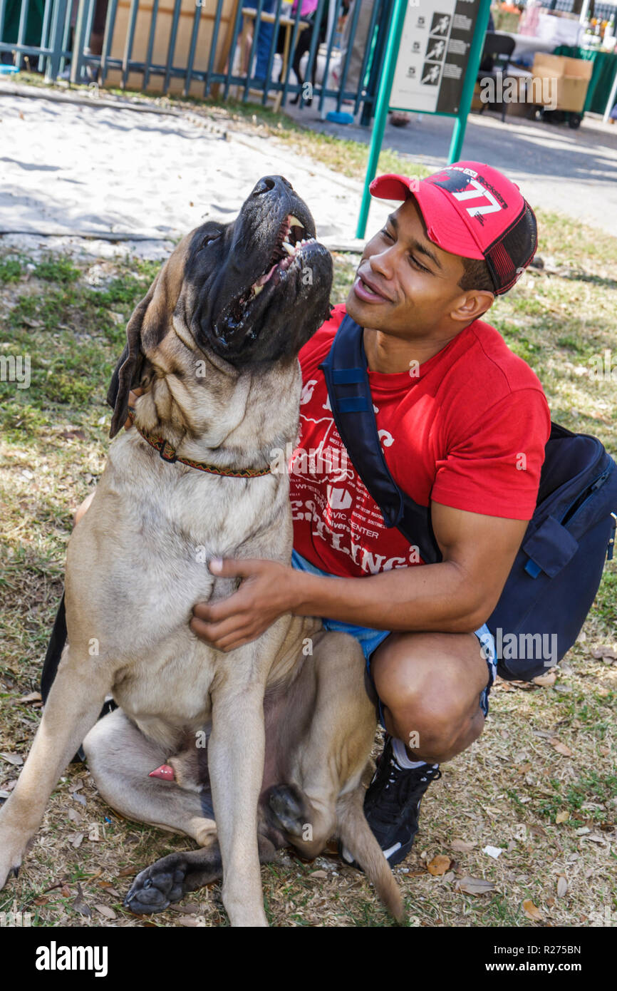 Miami Florida,Legion Park,Dogs On The Catwalk,dog dogs,Black Blacks ...