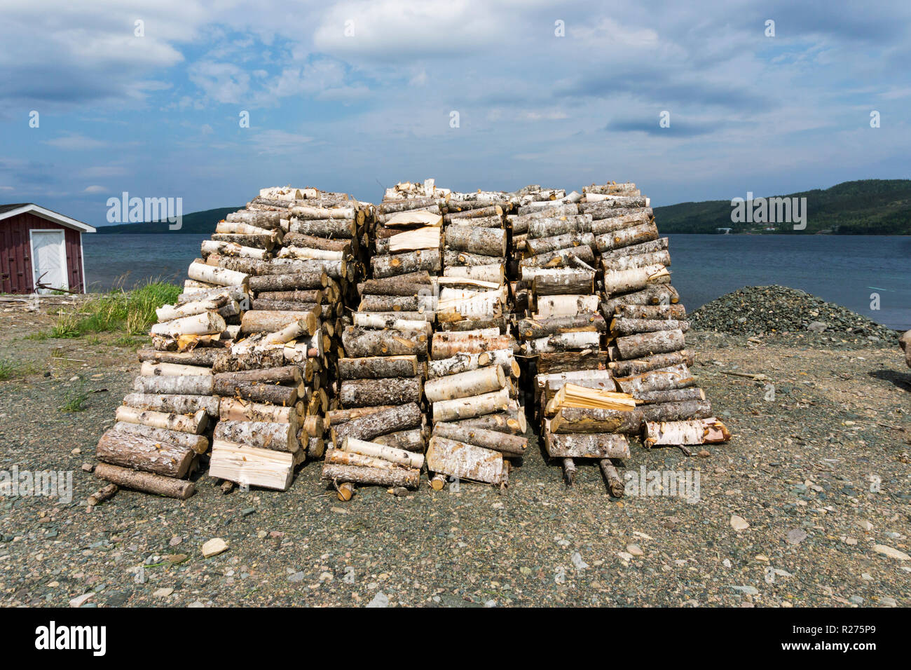 A stack of cut logs beside Green Bay in Newfoundland, Canada Stock ...