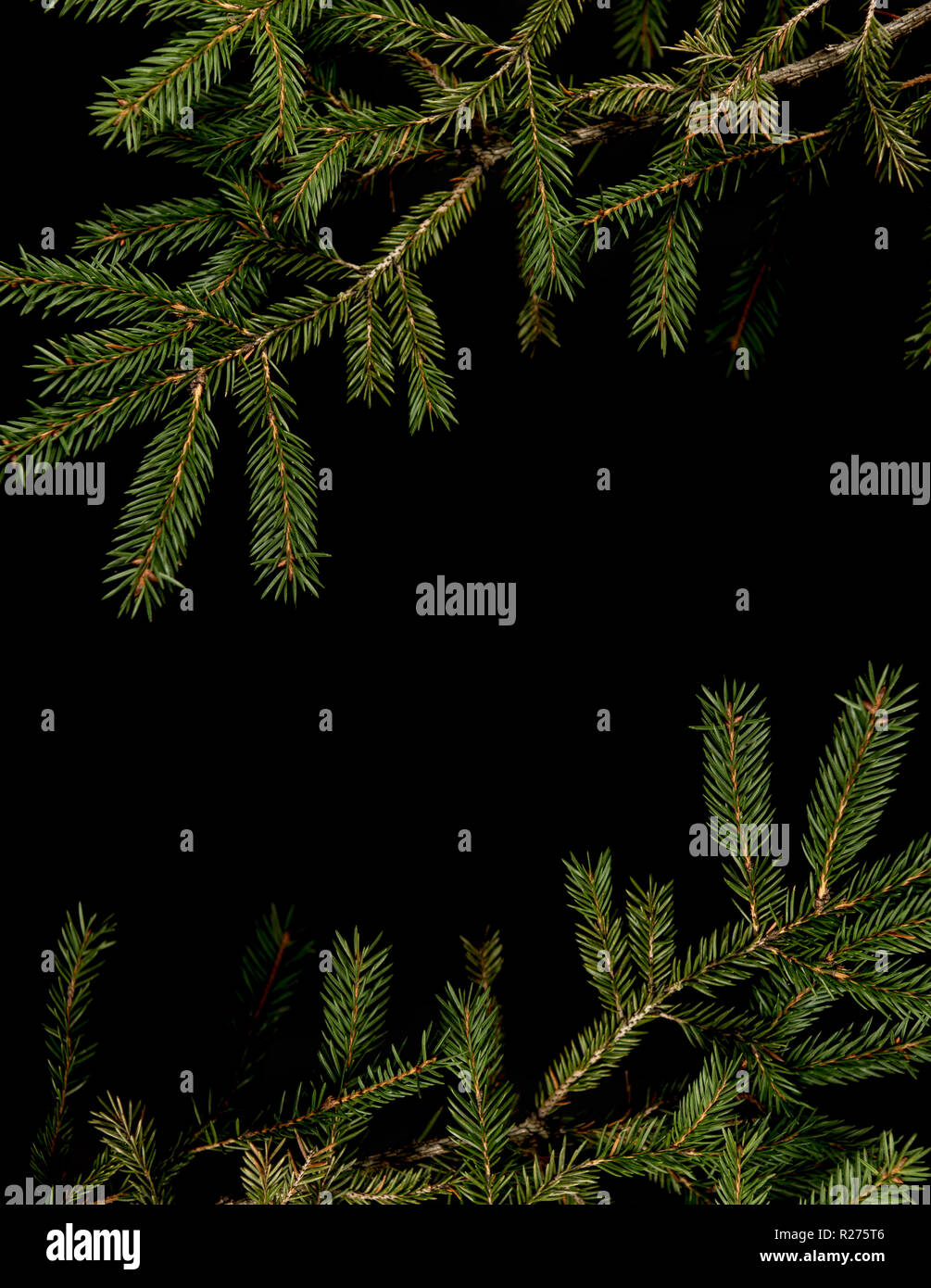 black background with green elements Stock Photo - Alamy