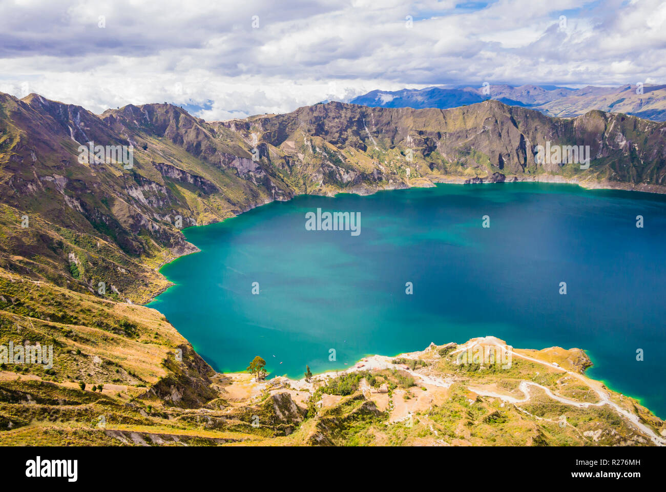 Ecuador flower andes mountain hi-res stock photography and images - Alamy