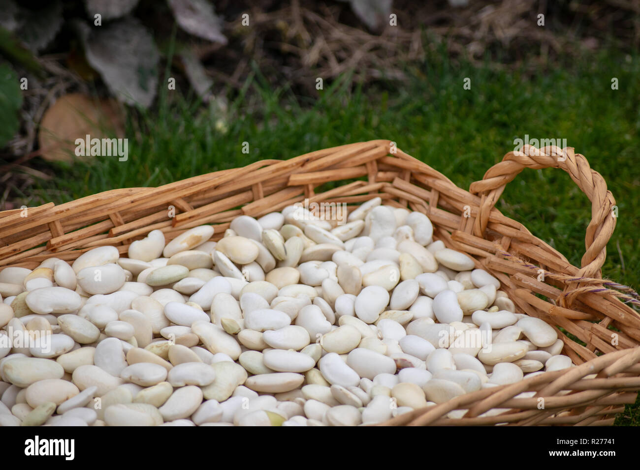 Lithuanian farming hi-res stock photography and images - Alamy