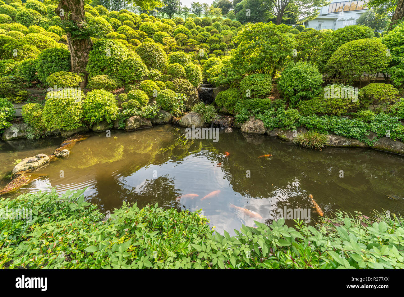 Koi pond shrine hi-res stock photography and images - Alamy
