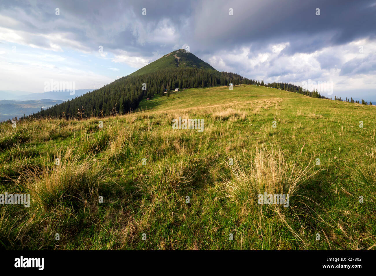 Panoramic view of green grassy valley, pine trees and rural small ...