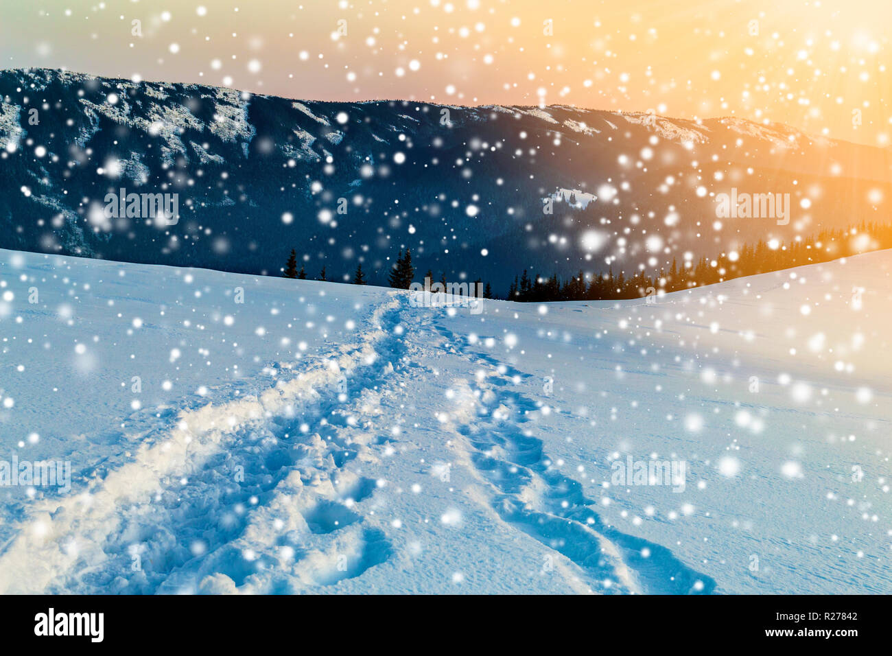 Path with footprints in snow in winter mountains Stock Photo - Alamy