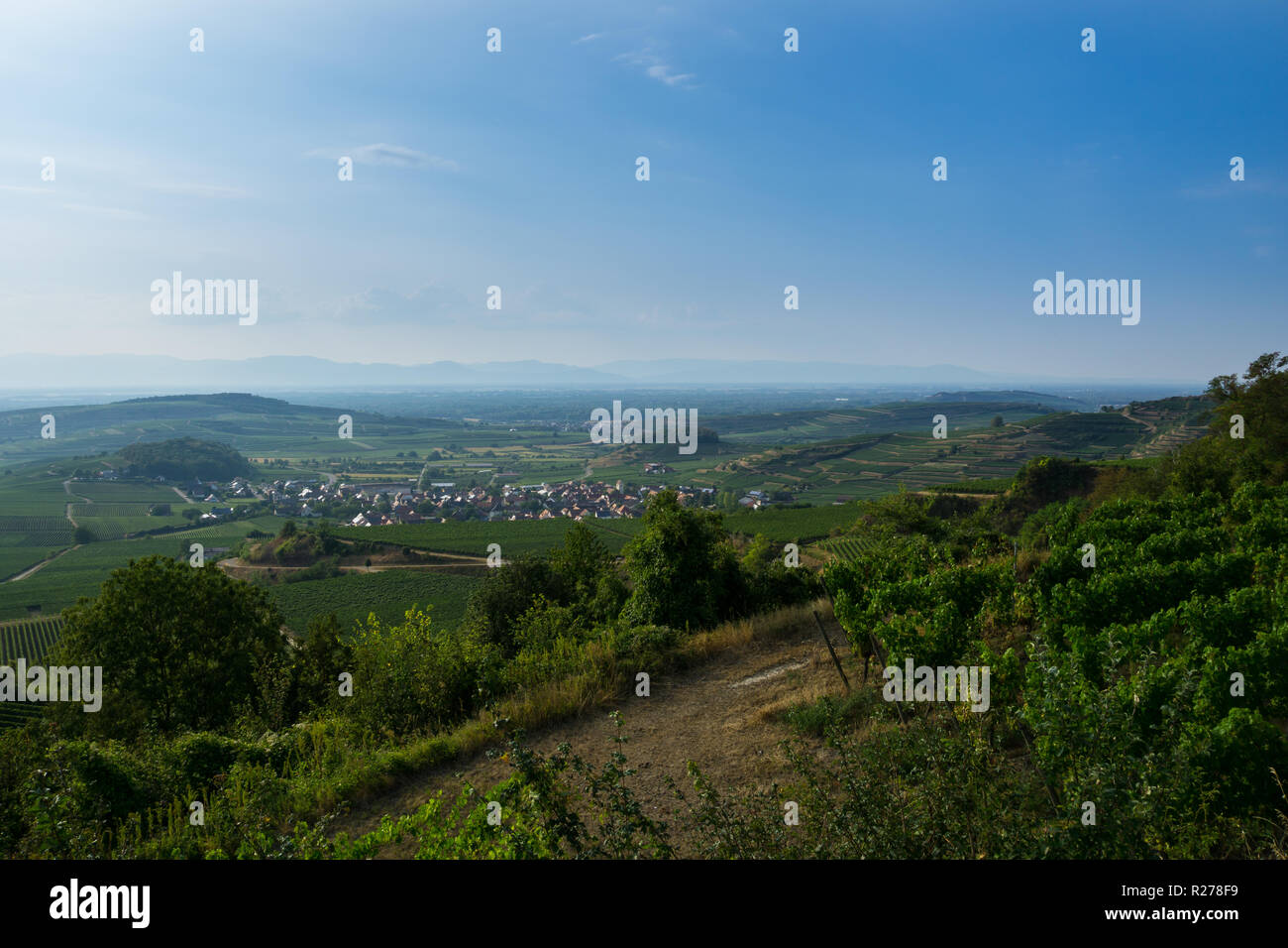 Kaiserstuhl wine region hi-res stock photography and images - Alamy