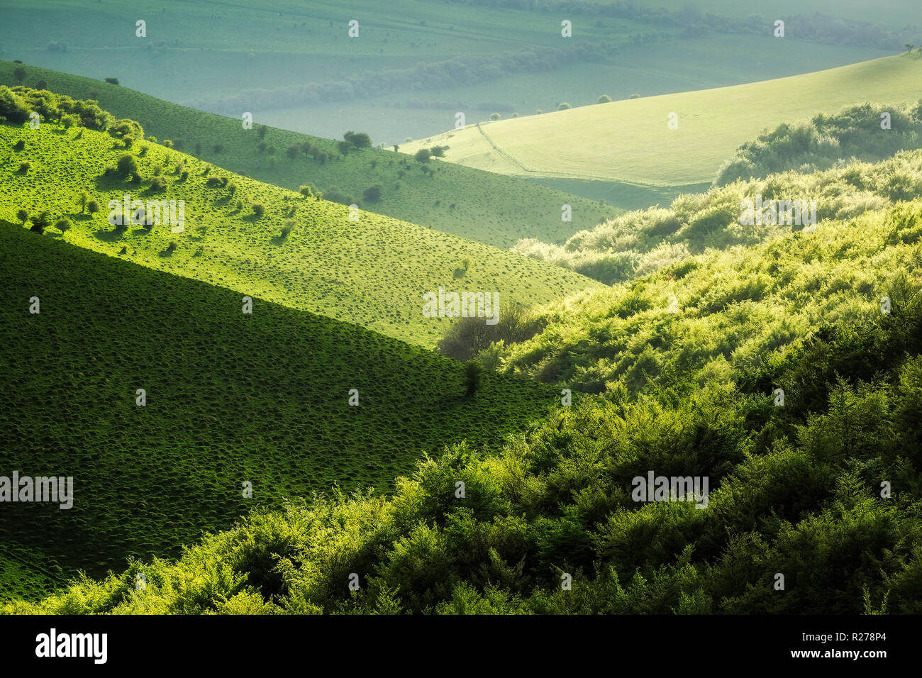 Cranborne Chase, Dorset, England Stock Photo - Alamy