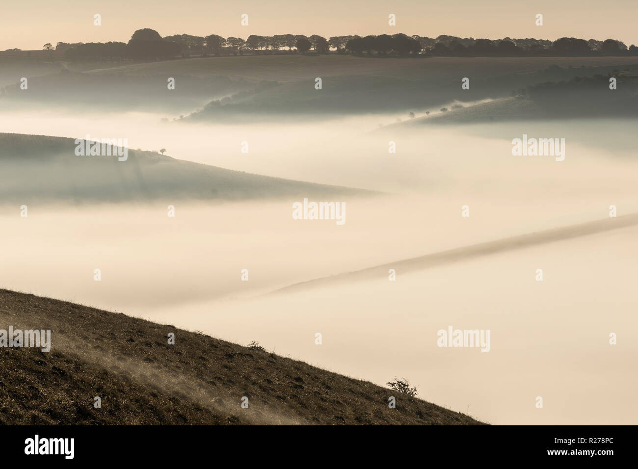 Cranborne Chase, Dorset, England Stock Photo - Alamy