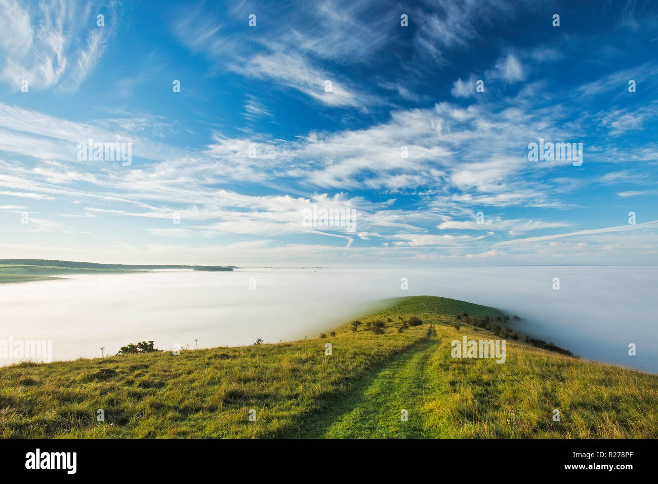 Compton Down, Cranborne Chase, Dorset, England Stock Photo - Alamy