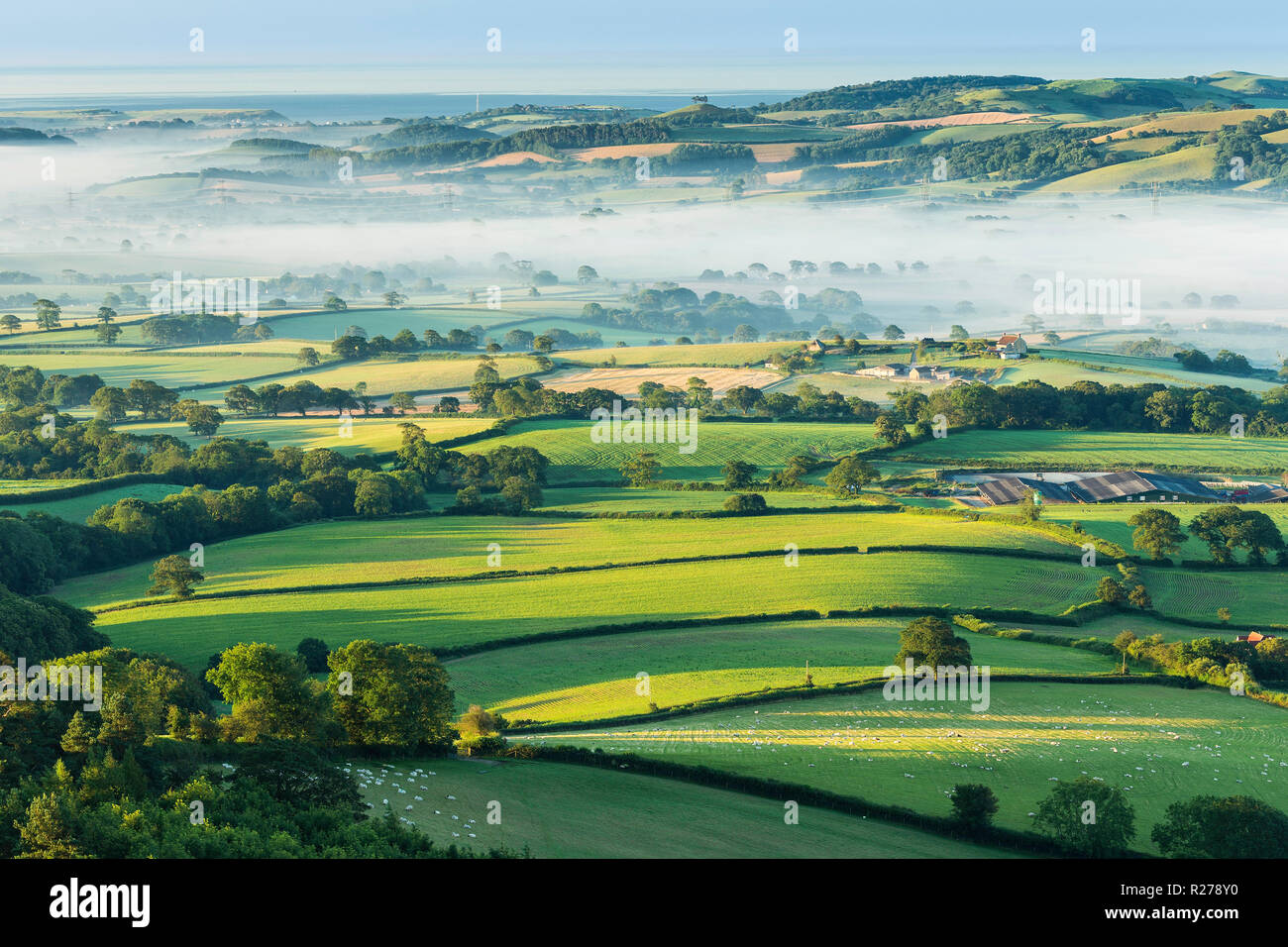 Marshwood Dorset High Resolution Stock Photography and Images - Alamy