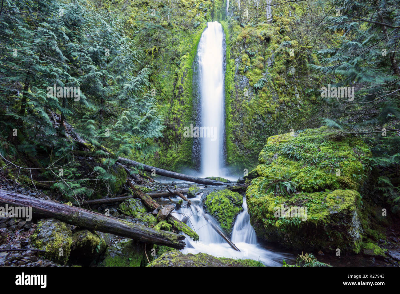 Gorton Creek Falls, Columbia River Gorge, Oregon. Secluded 150 foot ...