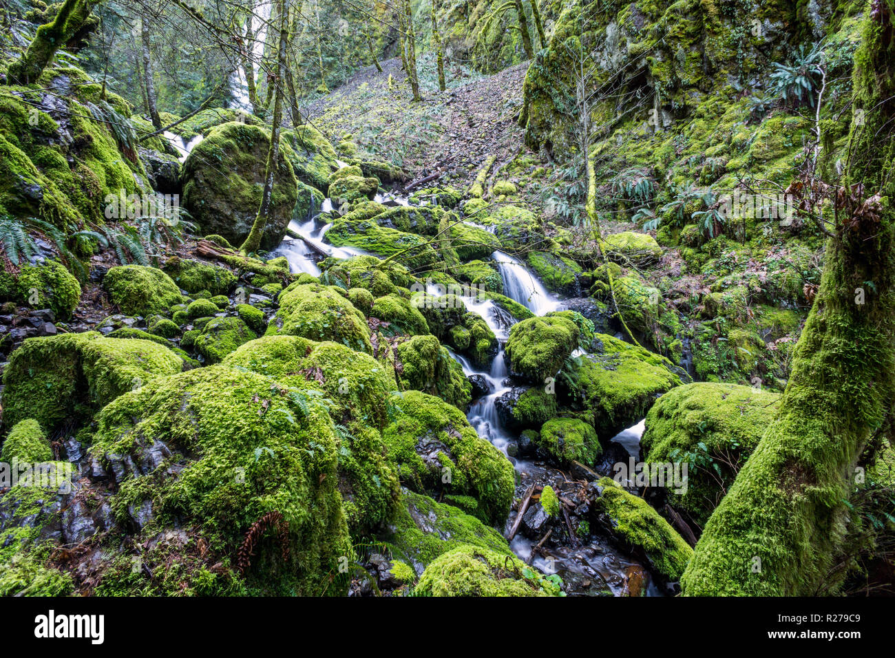 Mossy rocks hi-res stock photography and images - Alamy