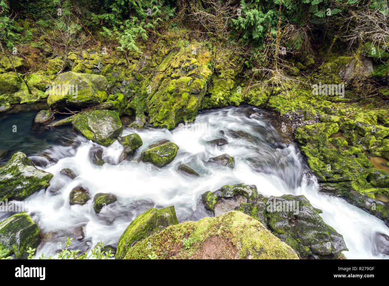 Rock river ferns rock river hi-res stock photography and images - Alamy