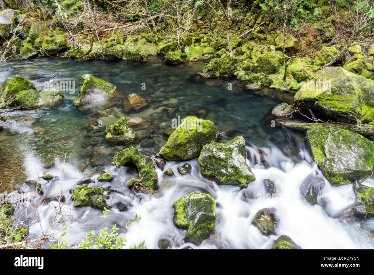 Moss rocks trees hi-res stock photography and images - Alamy