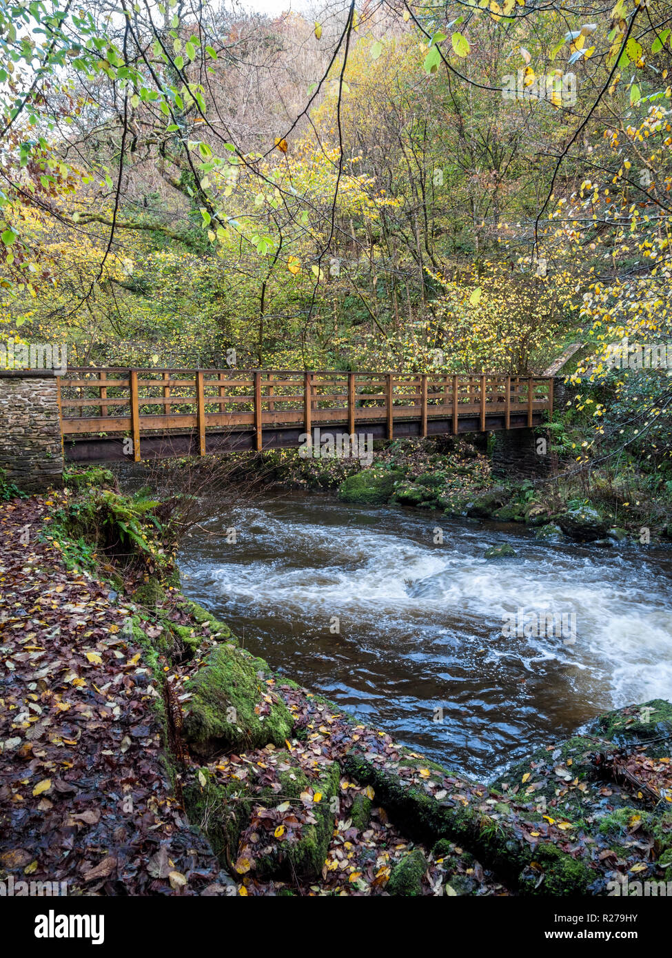 Footbridge over a gorge hi-res stock photography and images - Alamy