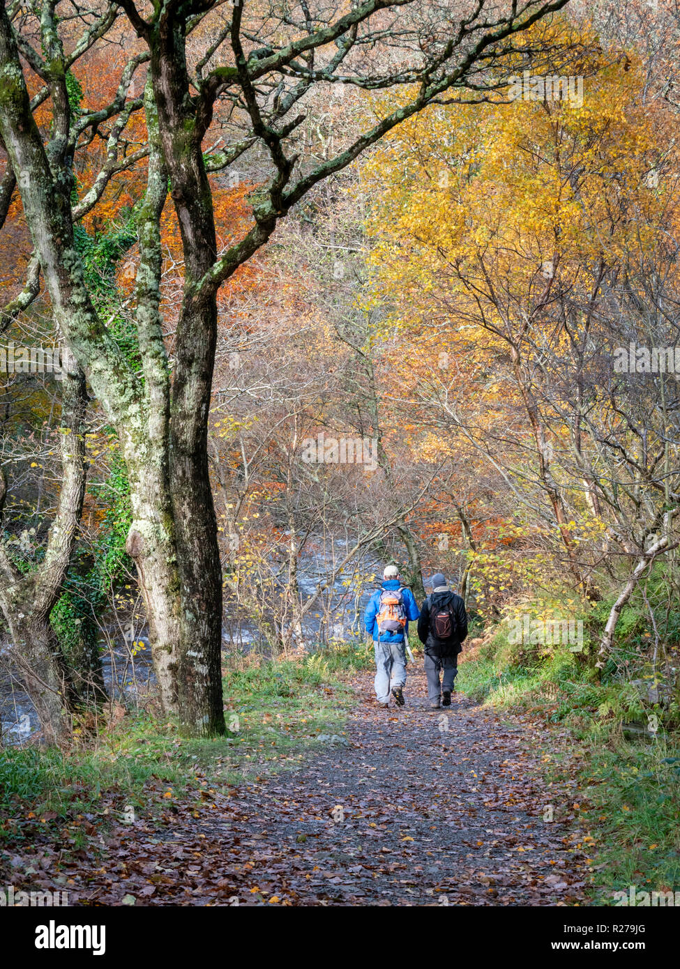 Two people walking along a path by the River West Lyn at Lynmouth in ...