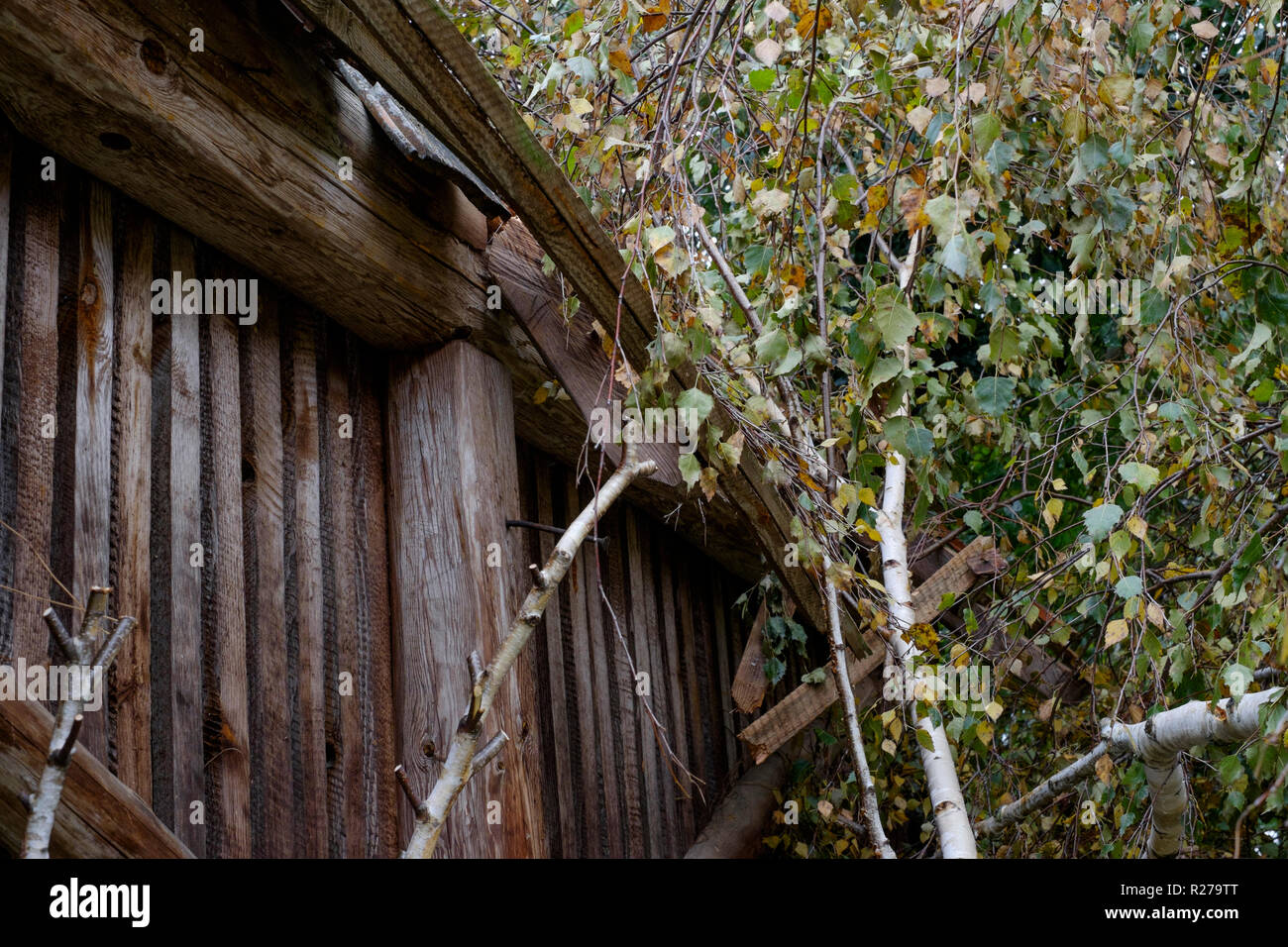 Accidental damage hi-res stock photography and images - Alamy