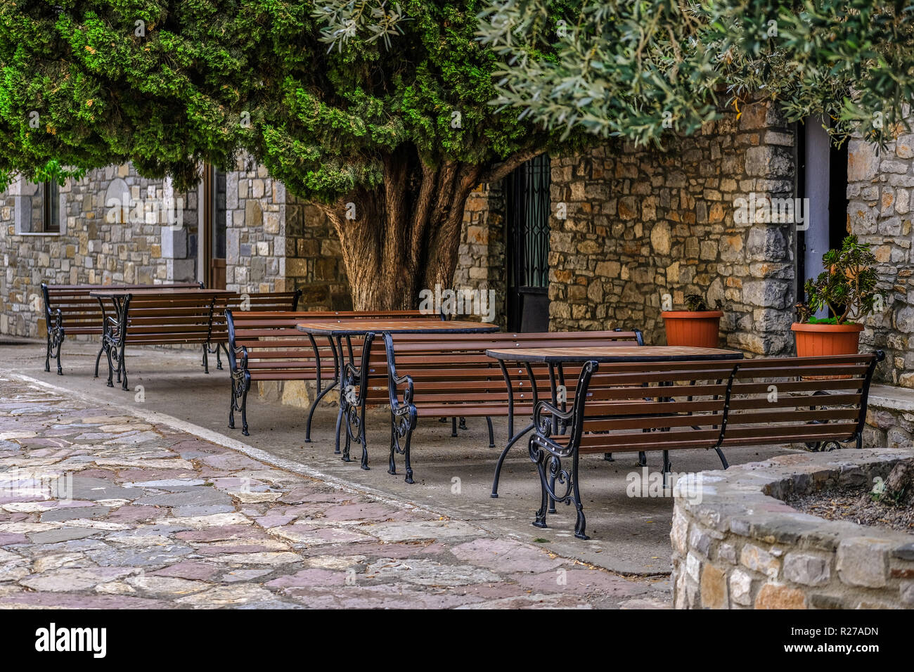 Tables and benches under the age-old tree. Cafe 2018 Stock Photo - Alamy