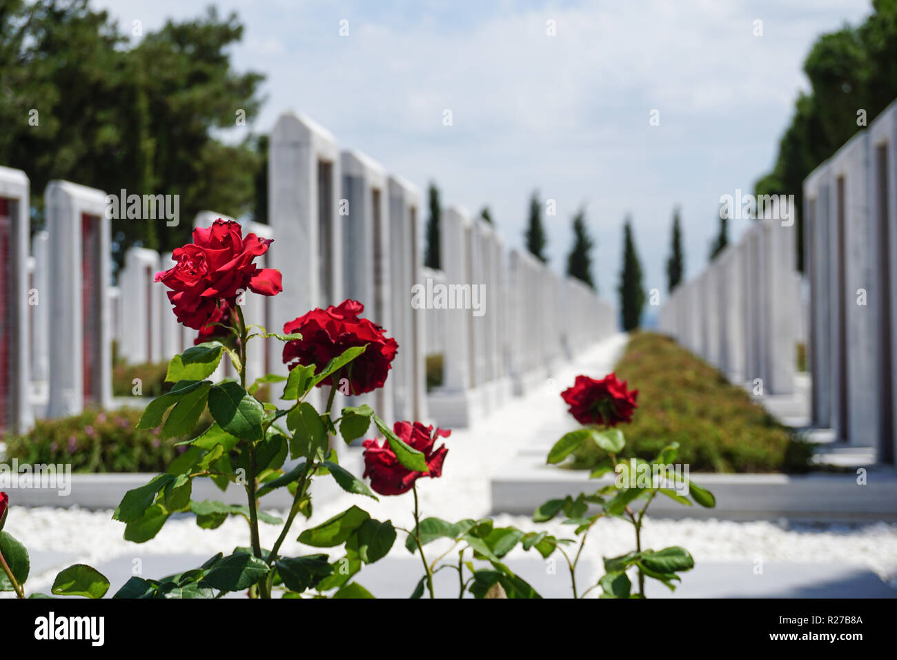 White rose garden memorial hi-res stock photography and images - Alamy