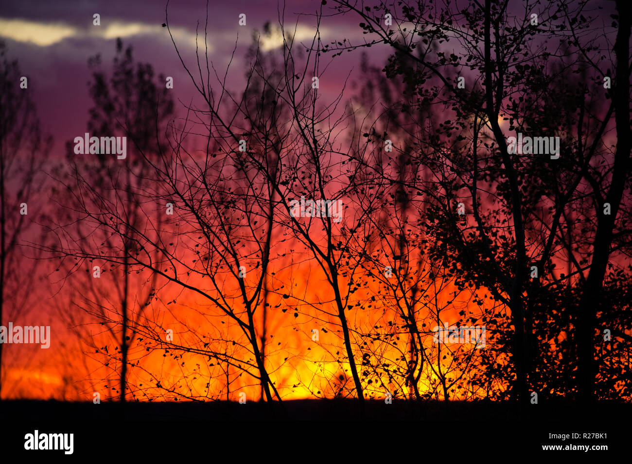 Trees in front of a setting sun making it look like they are on fire ...
